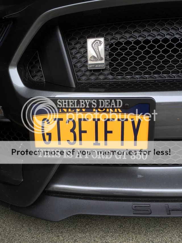 ANY new licence plate ideas for the GT350 | Page 30 | 2015+ S550 ...