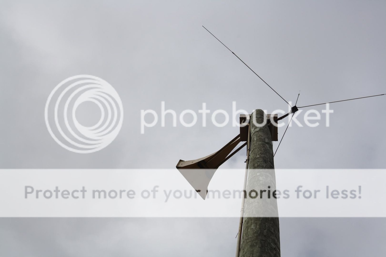 Macon, GA Thunderbolt 1000T & ACA Howler retakes - The Siren Board