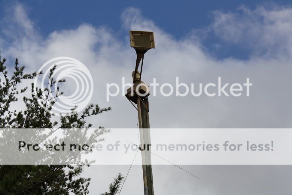 Macon, GA Thunderbolt 1000T & ACA Howler retakes - The Siren Board