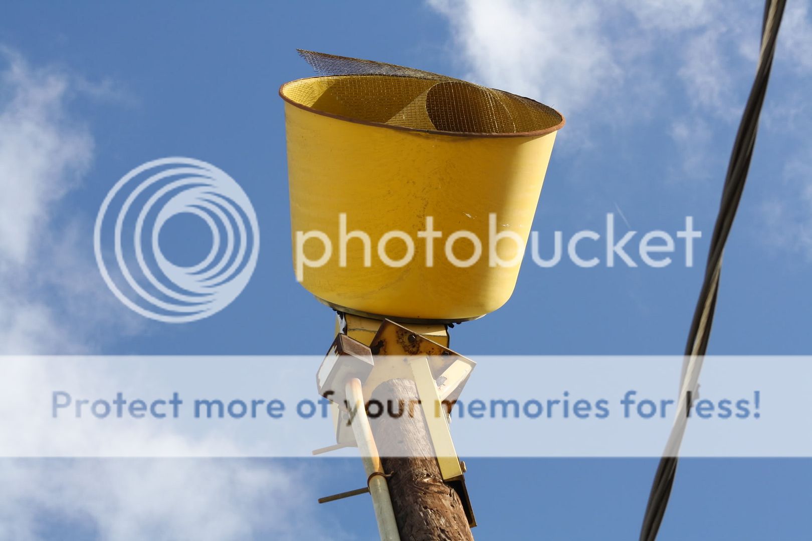 Macon, GA Thunderbolt 1000T & ACA Howler retakes - The Siren Board