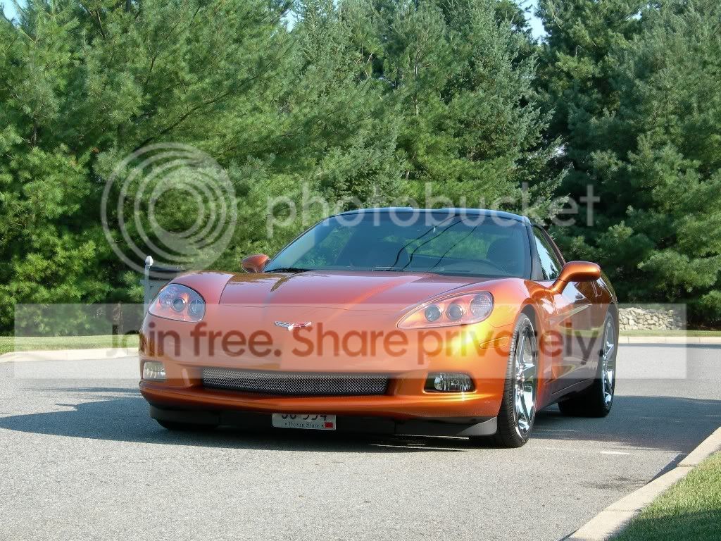 Annual Corvette Show - CorvetteForum - Chevrolet Corvette Forum Discussion