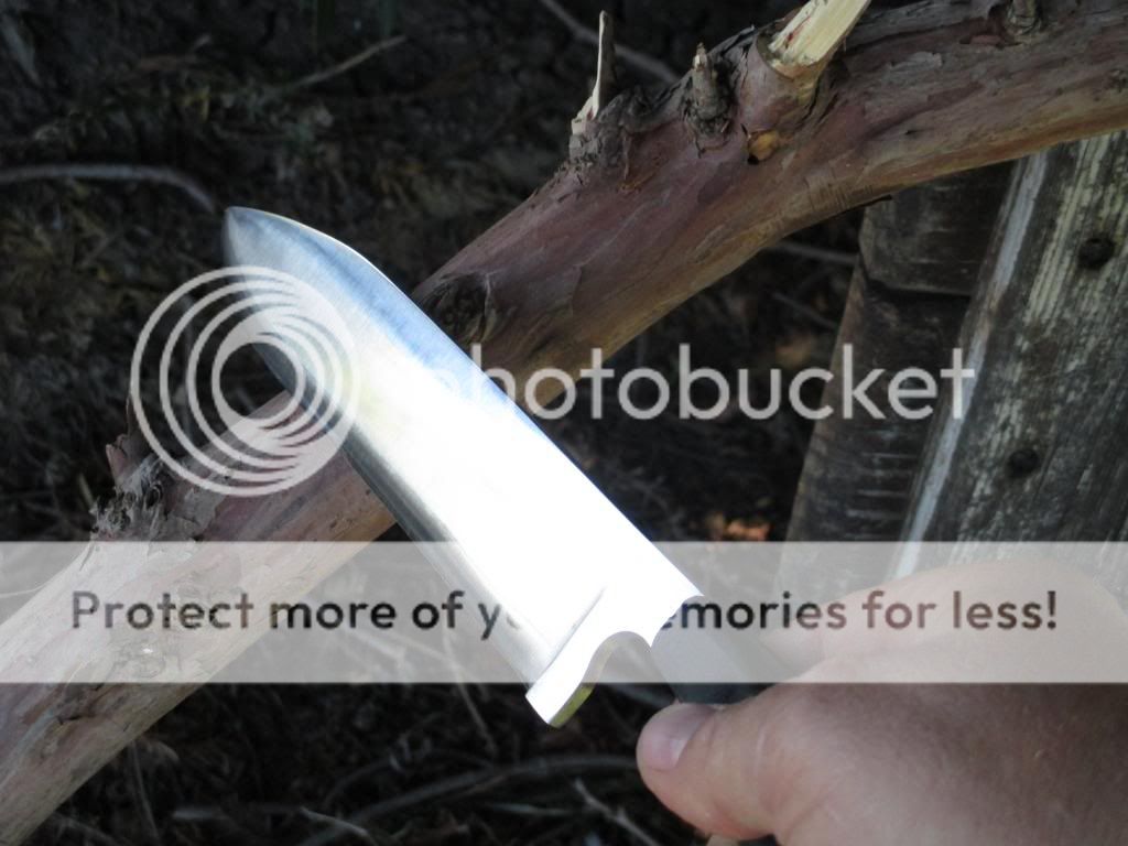 Knives by Richard J. The Definition of Scary Sharp | Page 4 ...