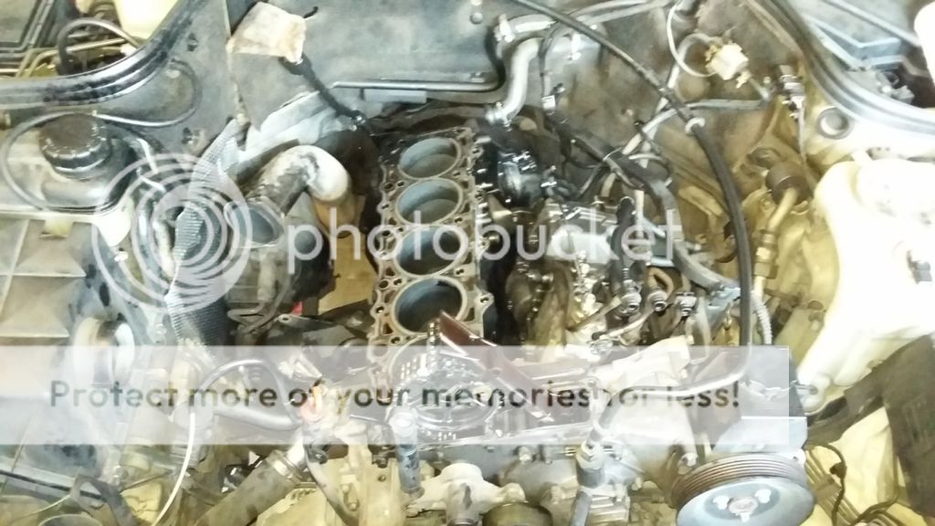 Where/How to read timing (OM606 engine) | Mercedes-Benz Forum